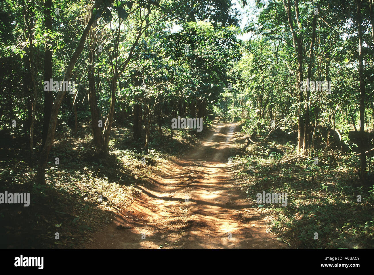 Deep sagar hi-res stock photography and images - Alamy