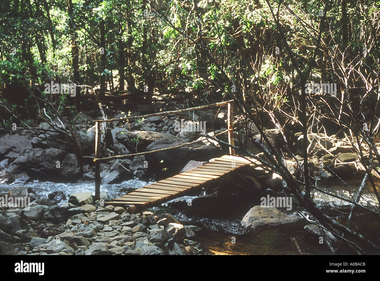 A bridge made of planks across a spring in Dudhsagar Falls. Goa, India ...