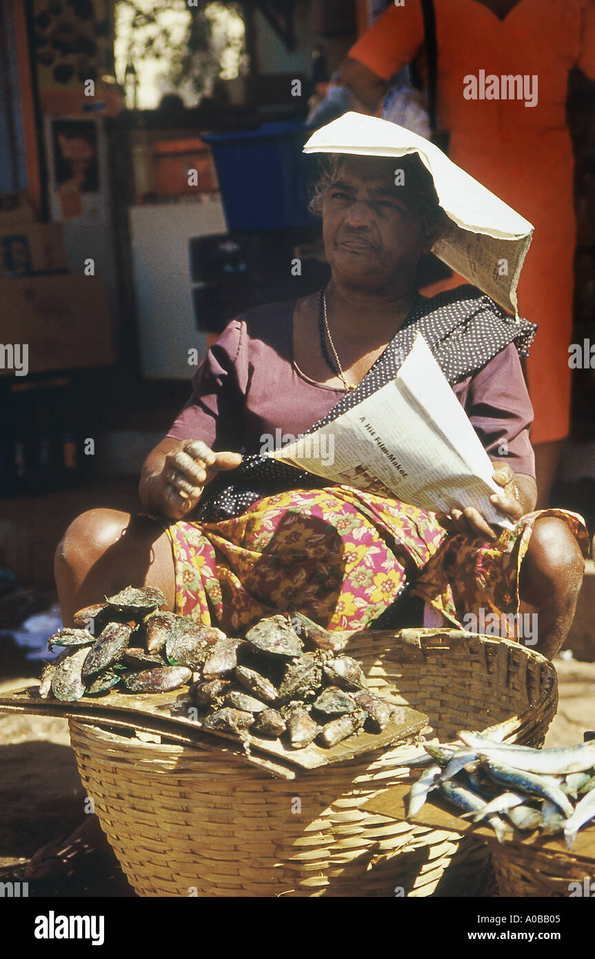 India Goa Fish Market Panaji High Resolution Stock Photography and ...