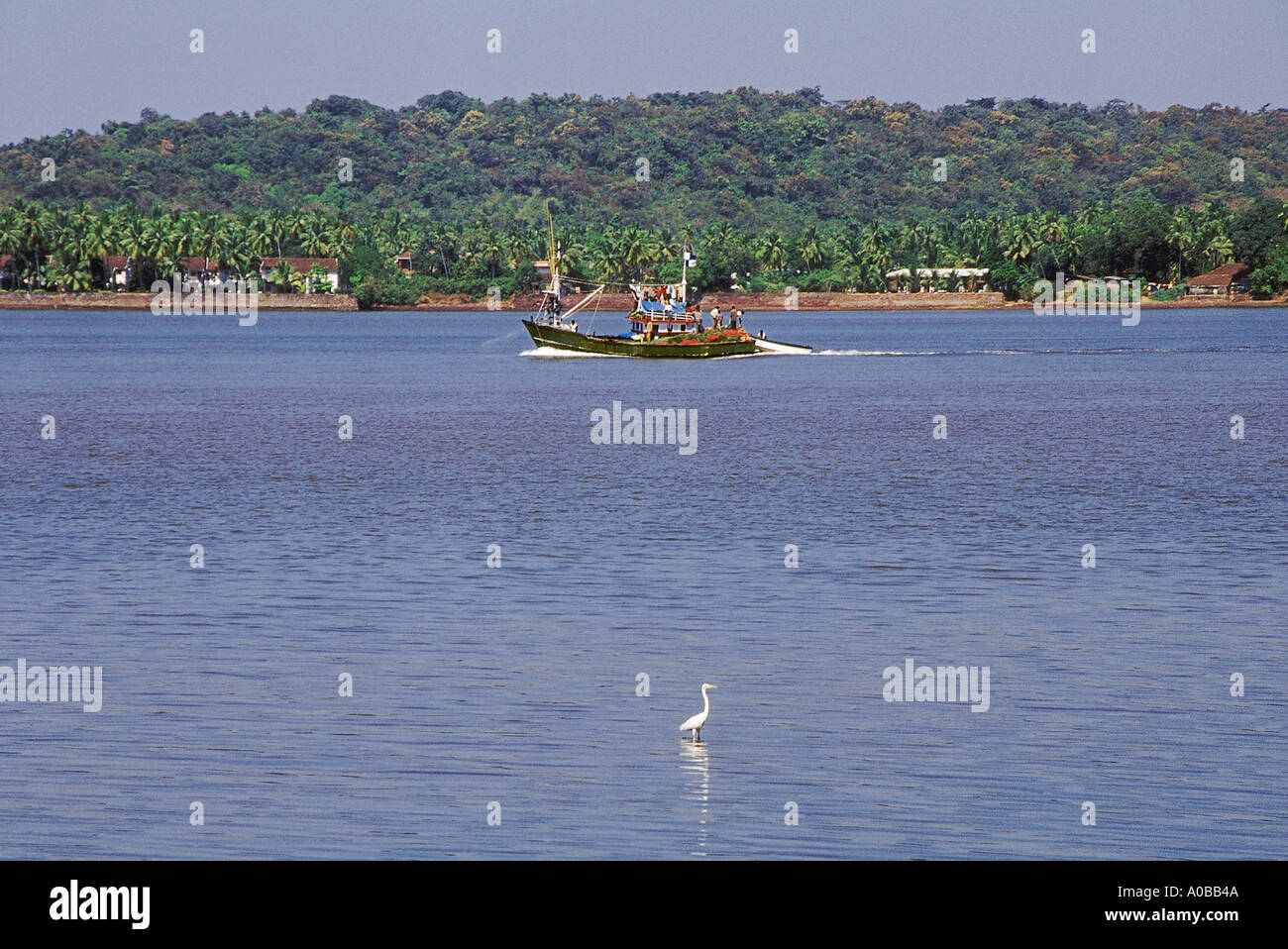 A boat on the river. Goa, India Stock Photo - Alamy