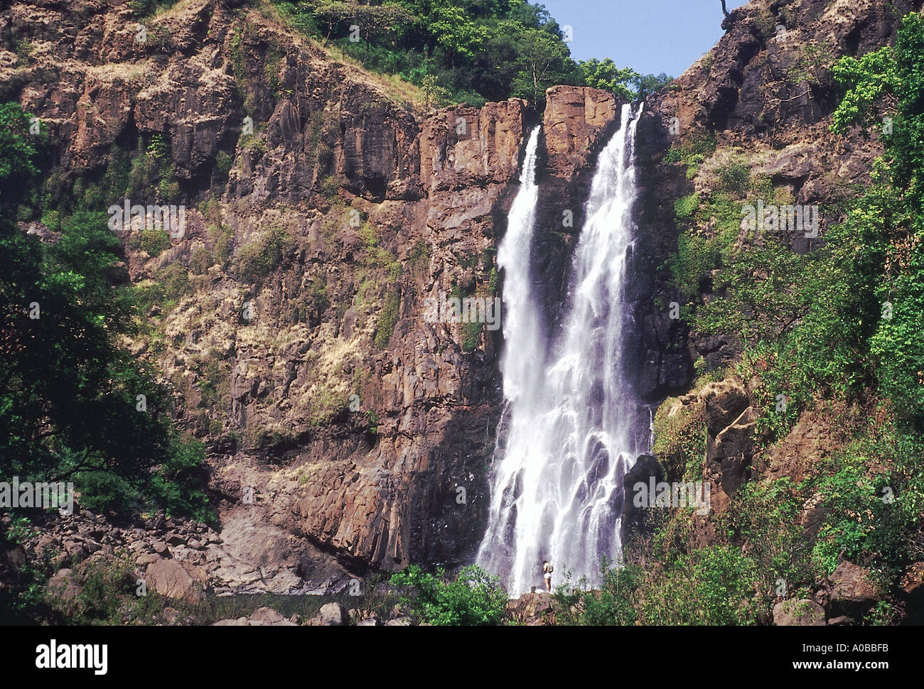 Jaoli hi-res stock photography and images - Alamy