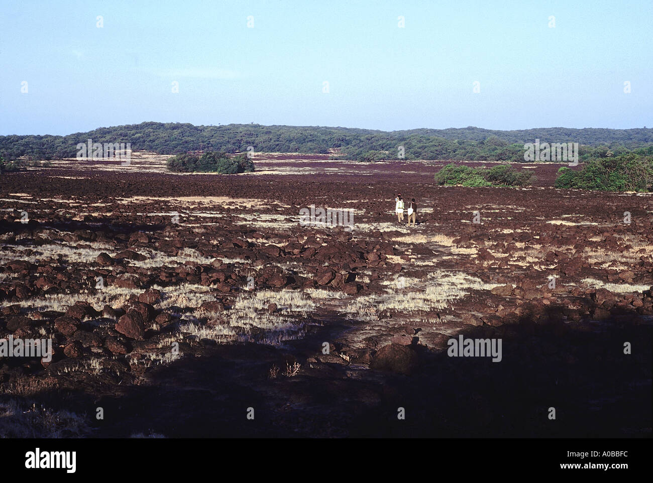 Lateritic hi-res stock photography and images - Alamy