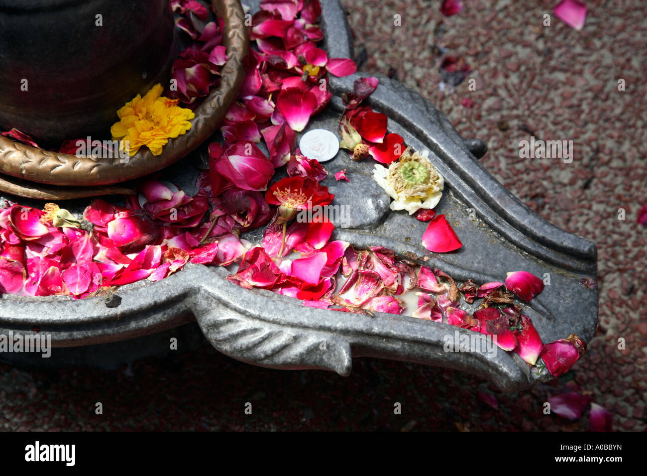 Scattered puja offerings of rose petals, marigolds and a coin, at a ...
