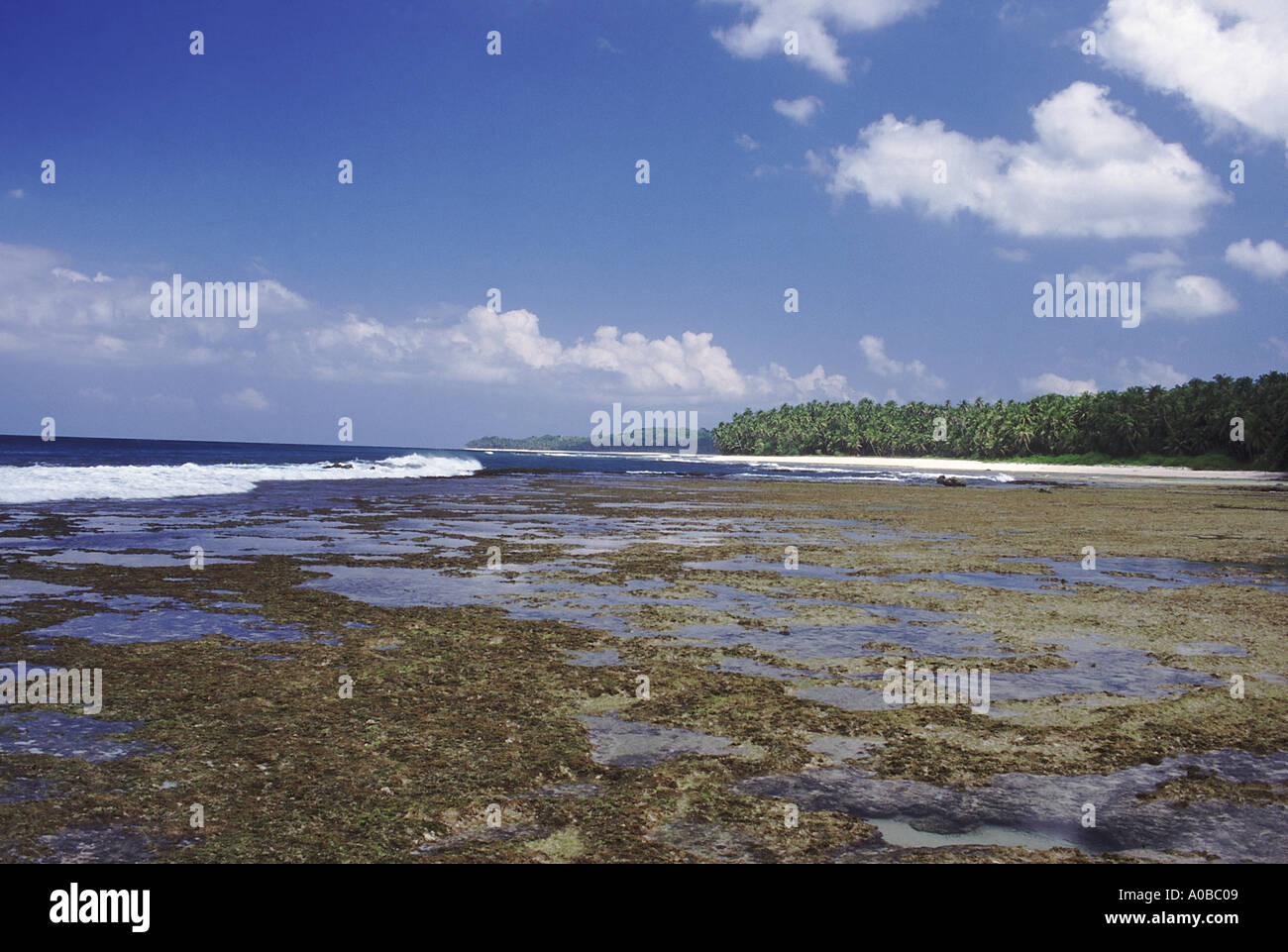 A rocky shore formed of coral on the west coast of Katchal in the ...