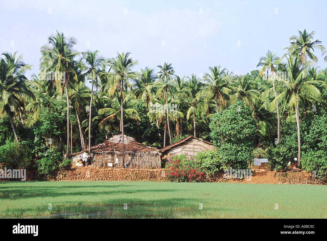 A village. Goa, India Stock Photo - Alamy