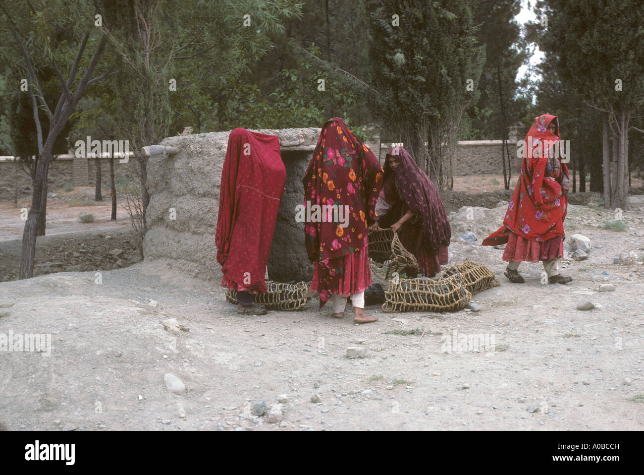 1738 08 Bedouin women filling goatskins with water from a well Tomb of ...