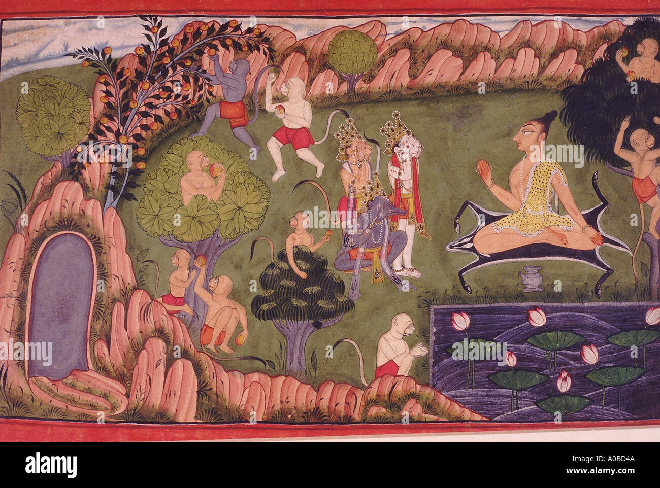 Monkeys gather fruit. Pahari painting from the Archer collection. Dated ...
