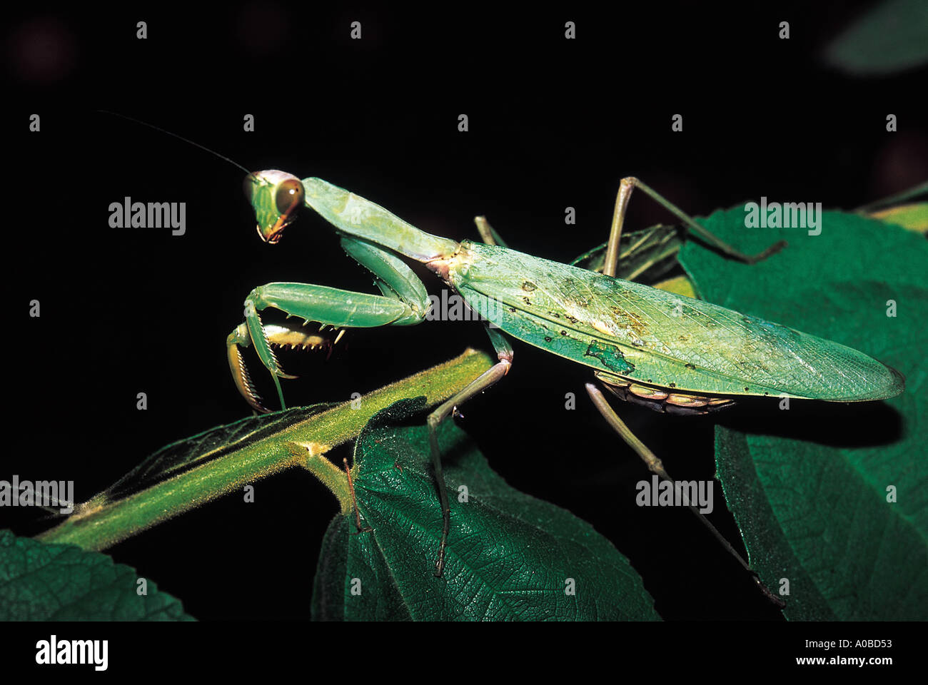 Valvan lake hi-res stock photography and images - Alamy