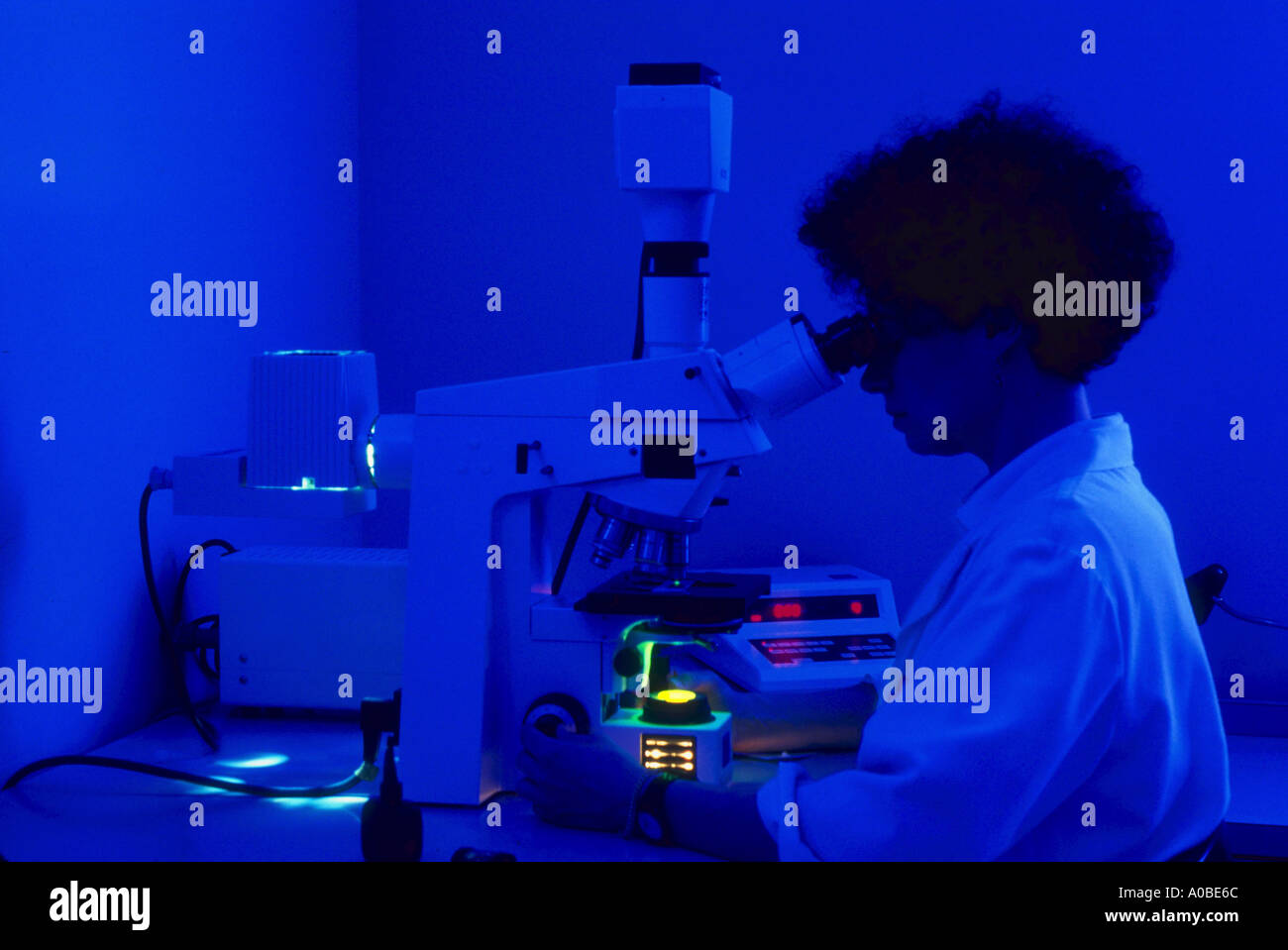 Woman scientist using a microscope in a biomedical laboratory in ...