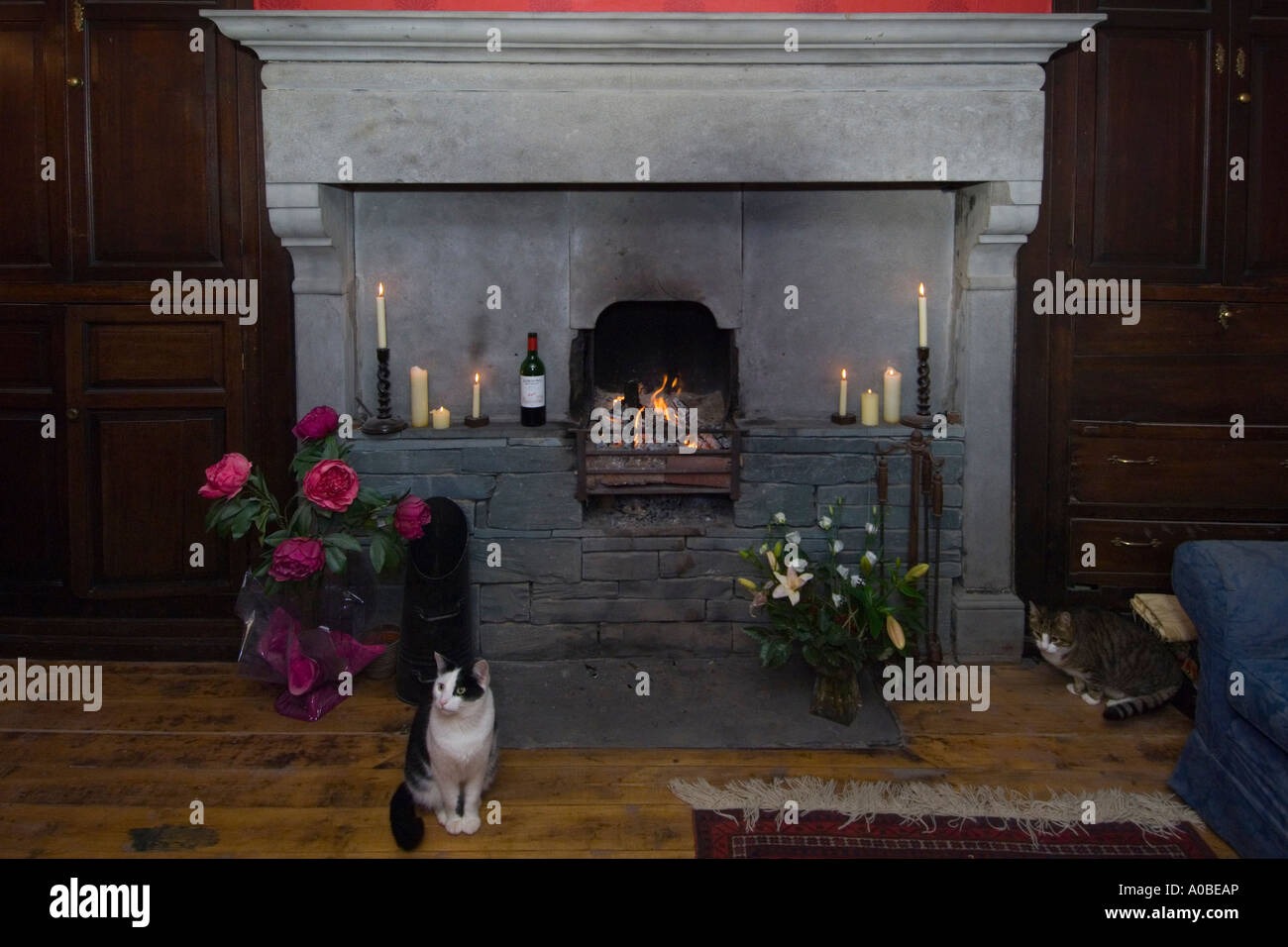A cat sits in front of a large hearth in the dining room of a georgian ...