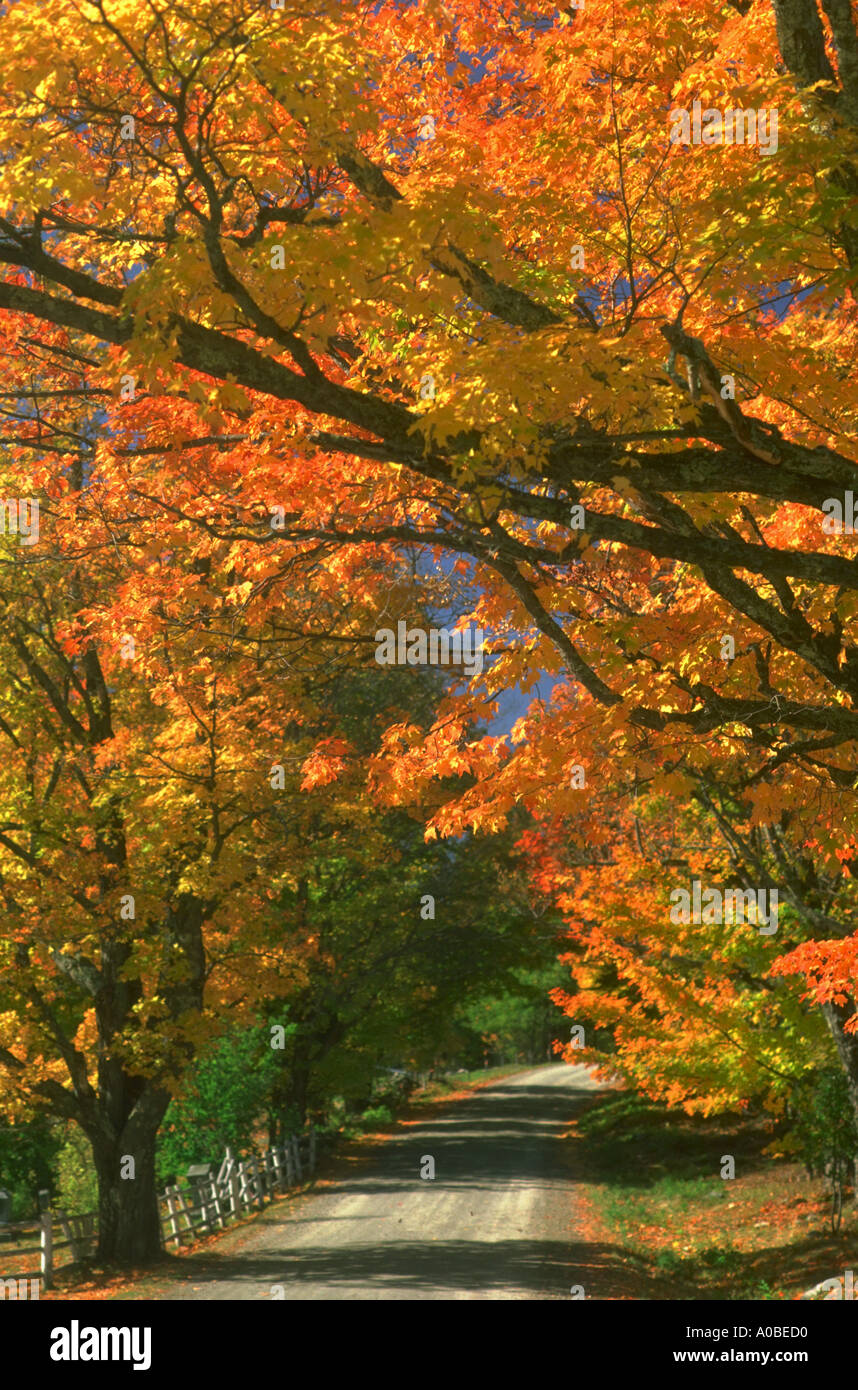 Fall foliage along country road in Vermont Stock Photo - Alamy
