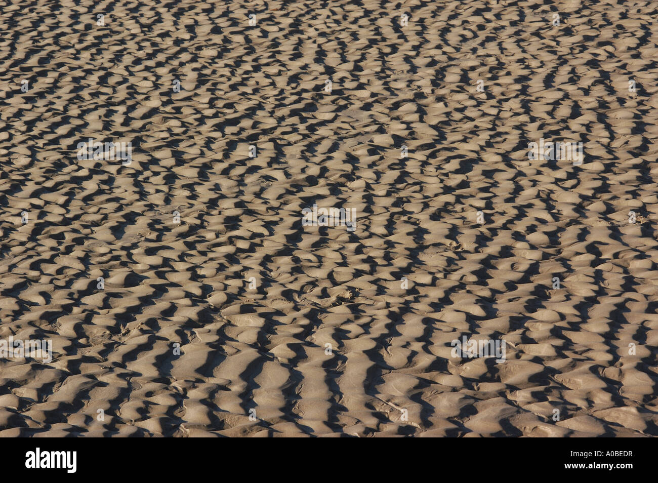 Mudflat pattern hi-res stock photography and images - Alamy