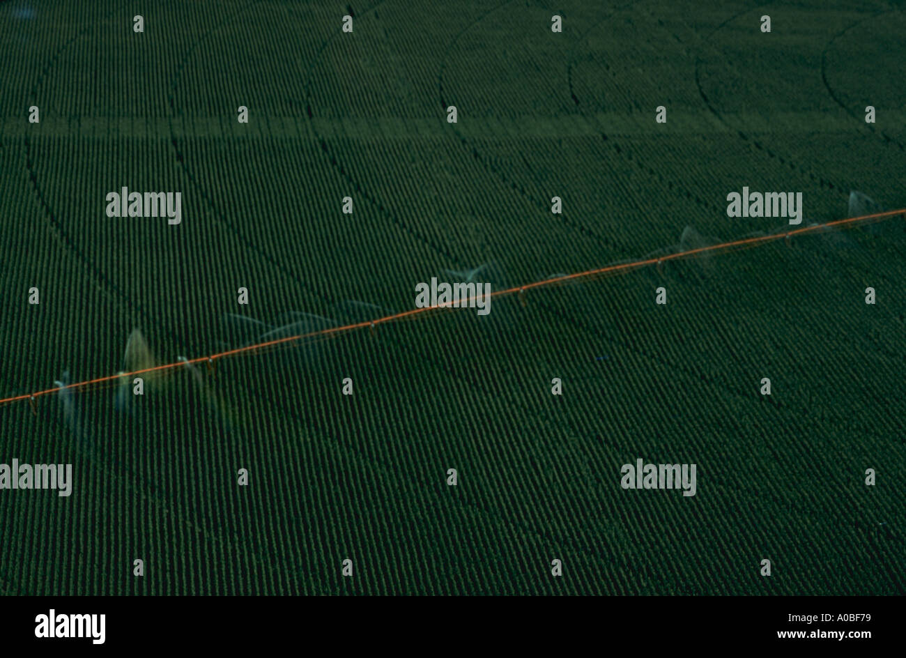 Center pivot irrigation of corn in Nebraska BC29505 Stock Photo - Alamy