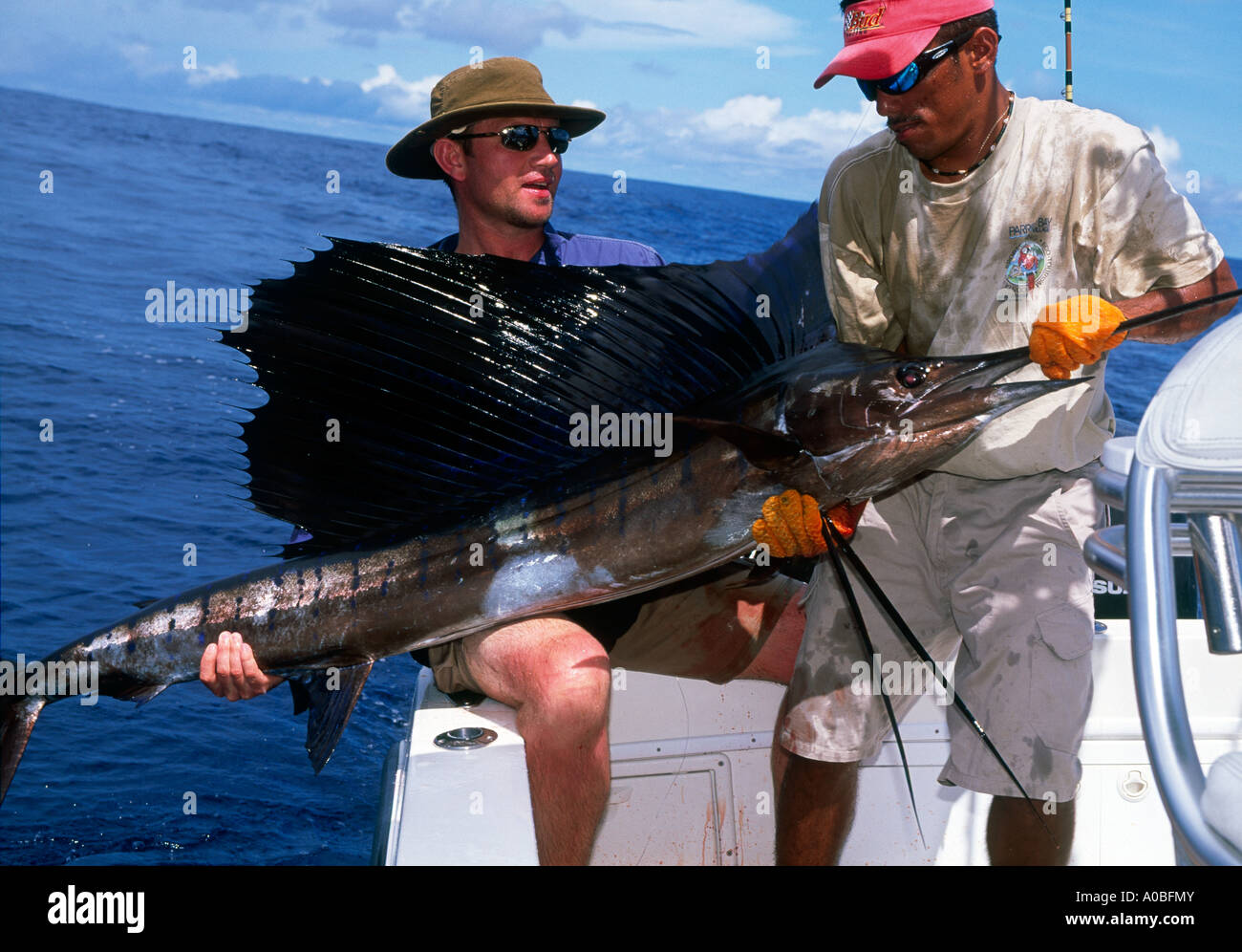 Sailfish caught hi-res stock photography and images - Alamy