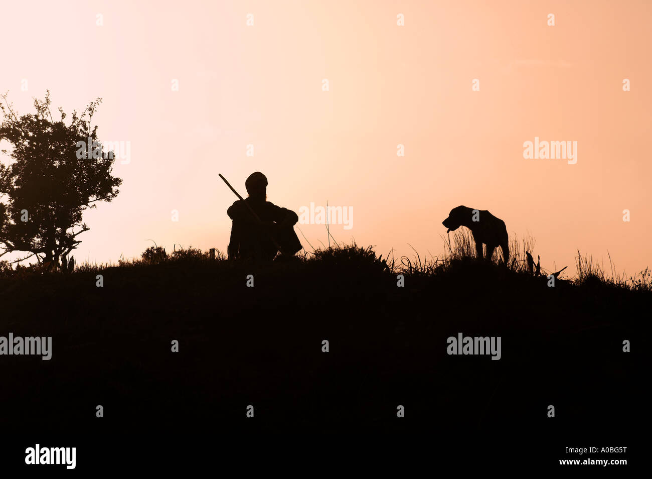 Silhouette shepherd sheep hi-res stock photography and images - Alamy