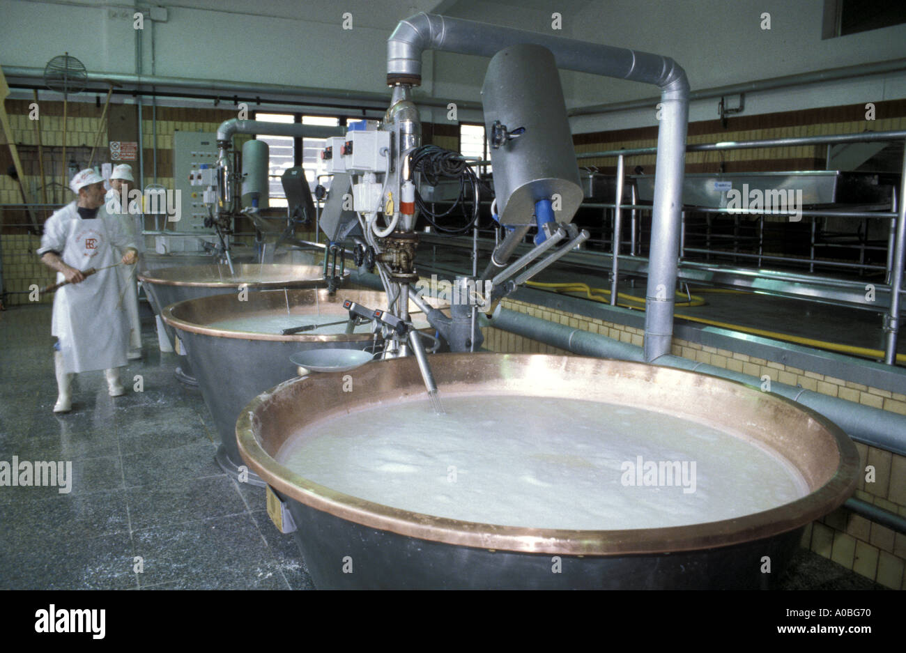 Preparation of Parmiggiano Reggiano cheese Hombre dairy Cittanove ...