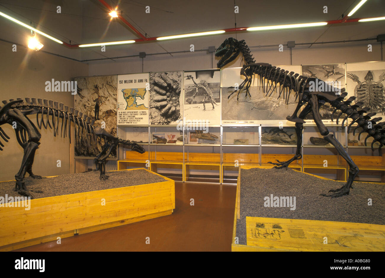 University museum Modena Emilia Romagna Italy Stock Photo - Alamy