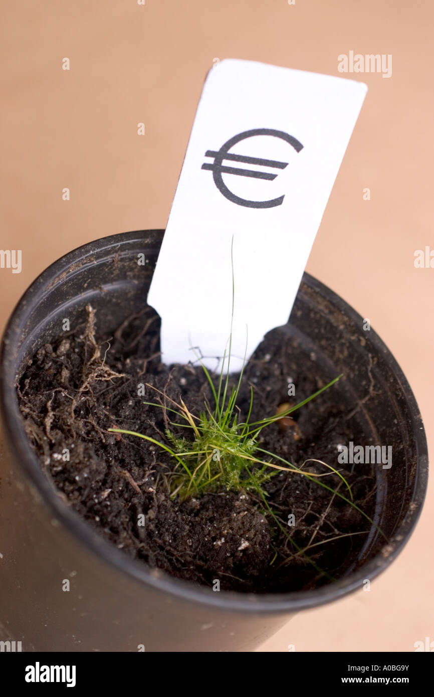 Growth Pot plant with green shoots and label with euro symbol currency ...