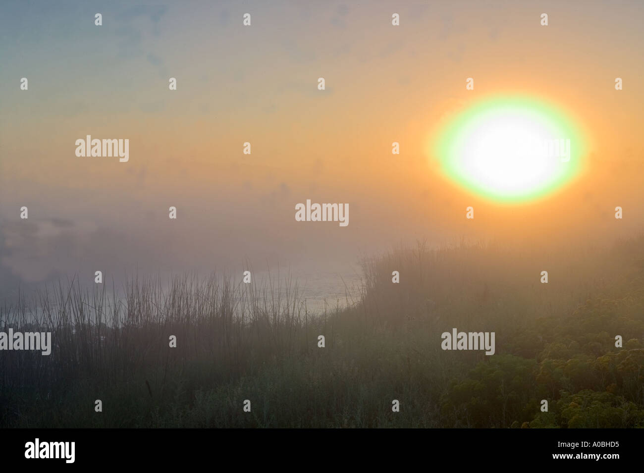 Klamath Marsh National wildlife Refuge with sunrise and fog Oregon ...
