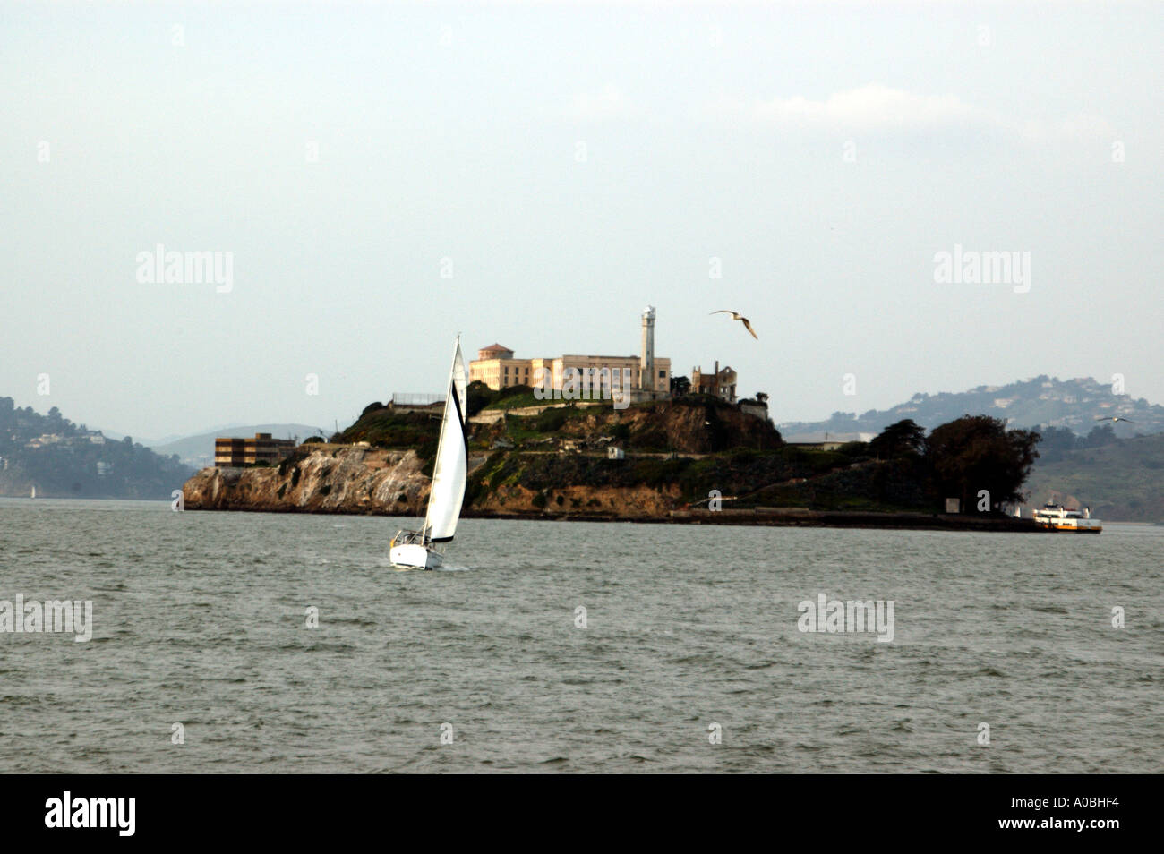 Alcatraz landing hi-res stock photography and images - Alamy