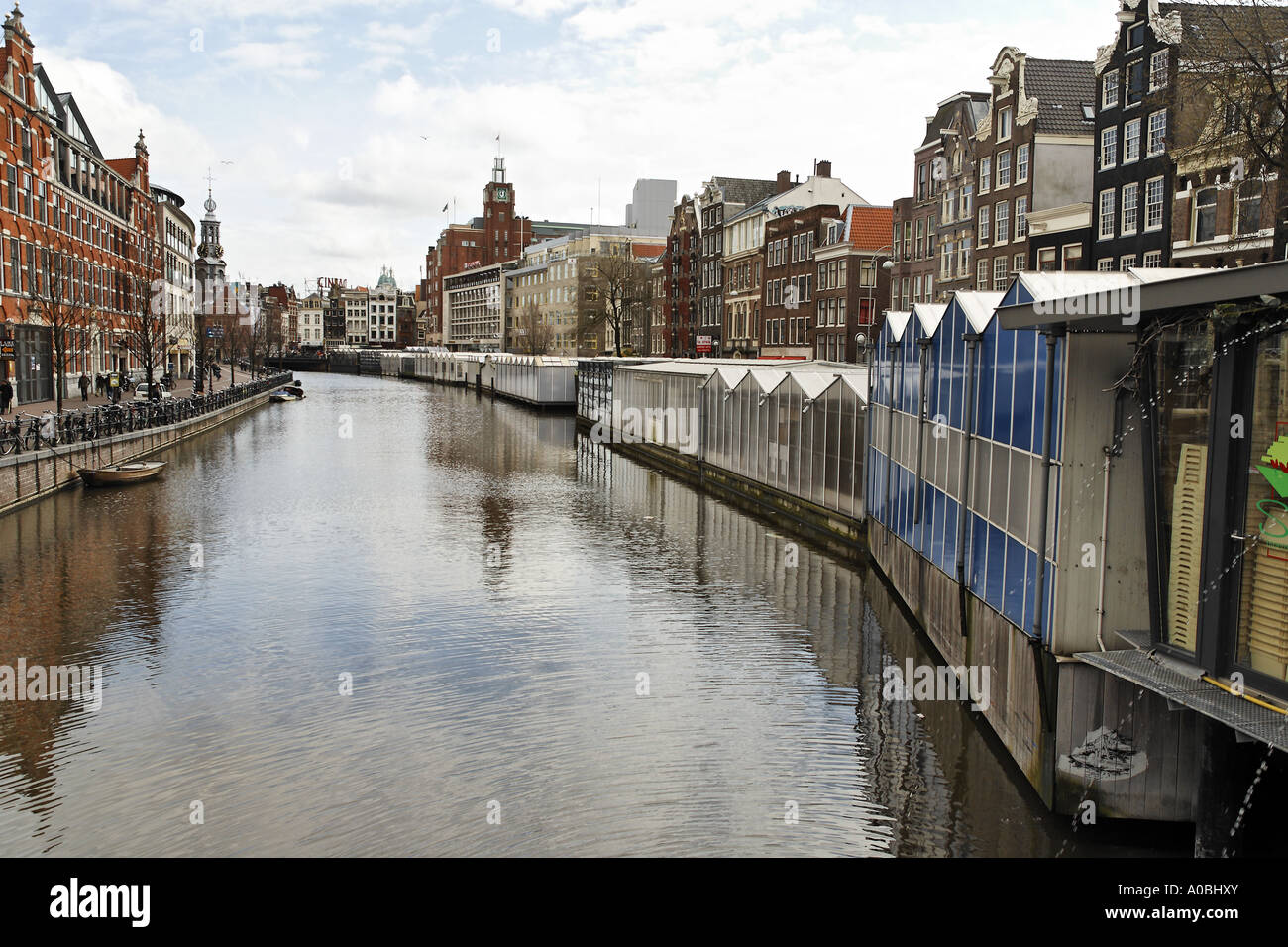 Floating Flower Market on Singel Canal Amsterdam Netherlands Stock ...