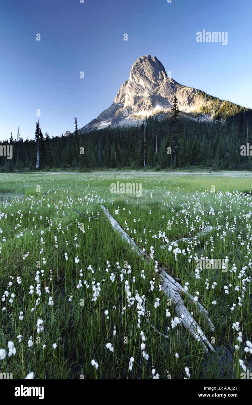 Meadow below Liberty Bell Mountain Washington Pass Hwy 20 Wenatchee ...