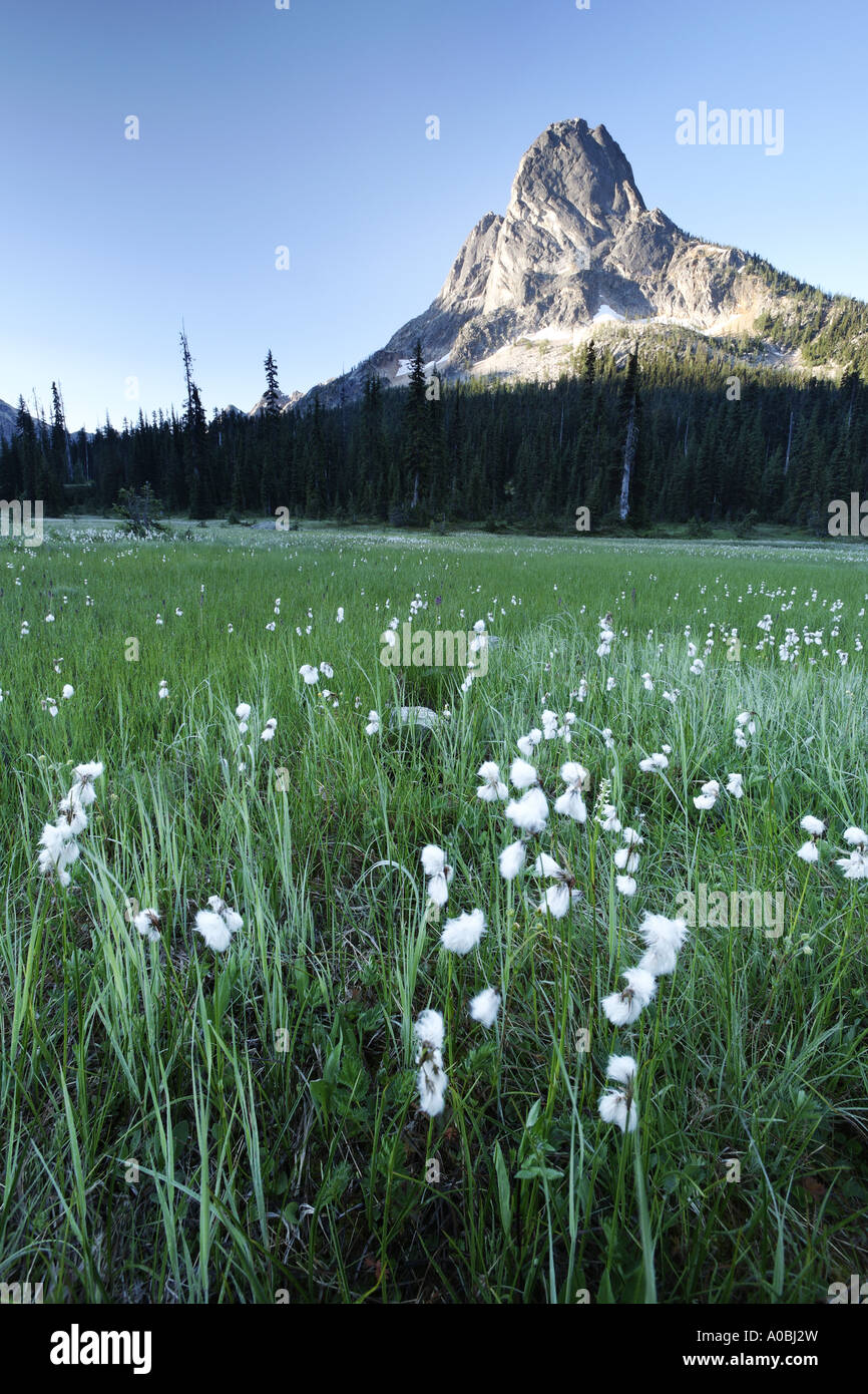 Meadow below Liberty Bell Mountain Washington Pass Hwy 20 Wenatchee ...