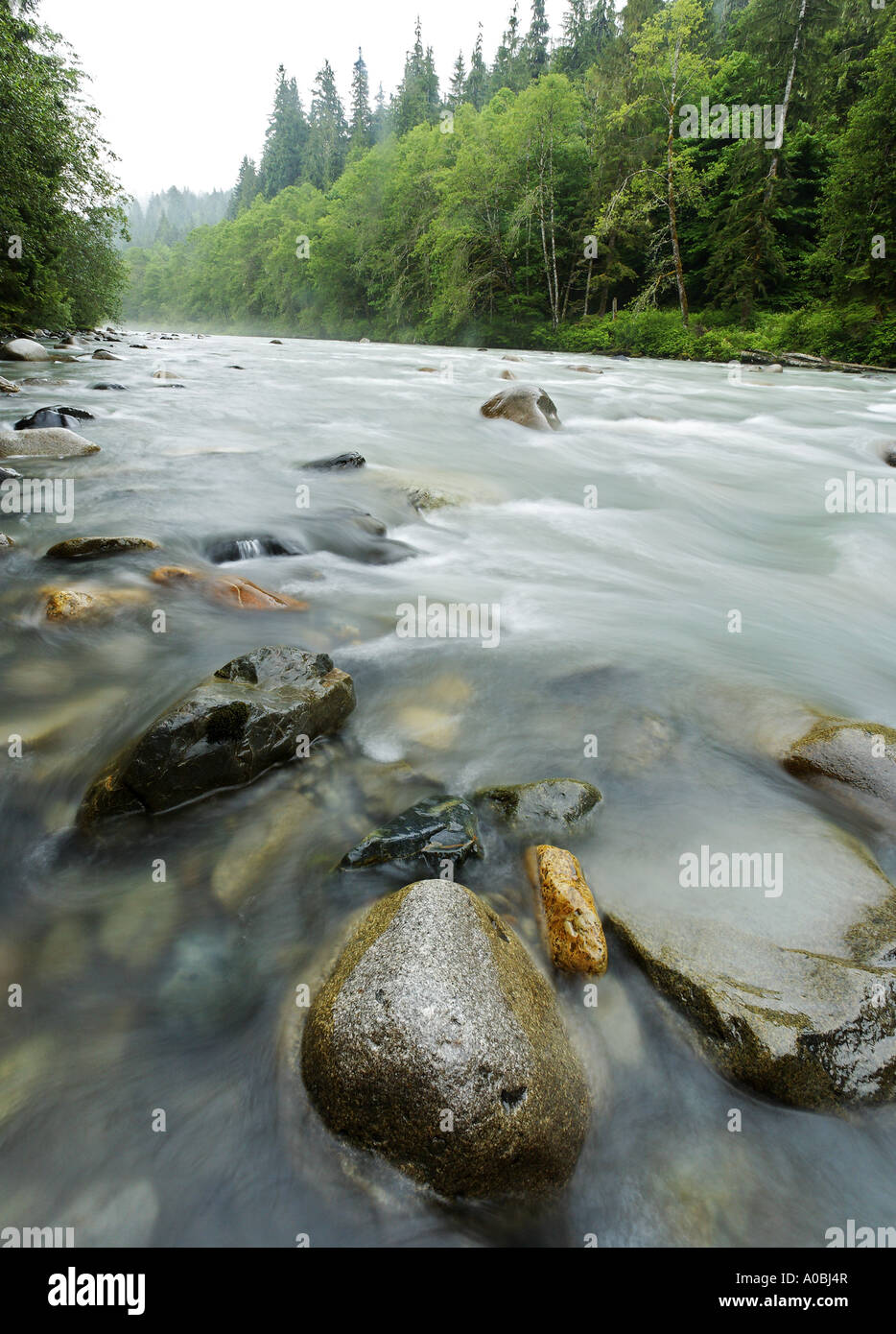 Stillaguamish River near Verlot Campground Mt Baker Snoqualmie National ...