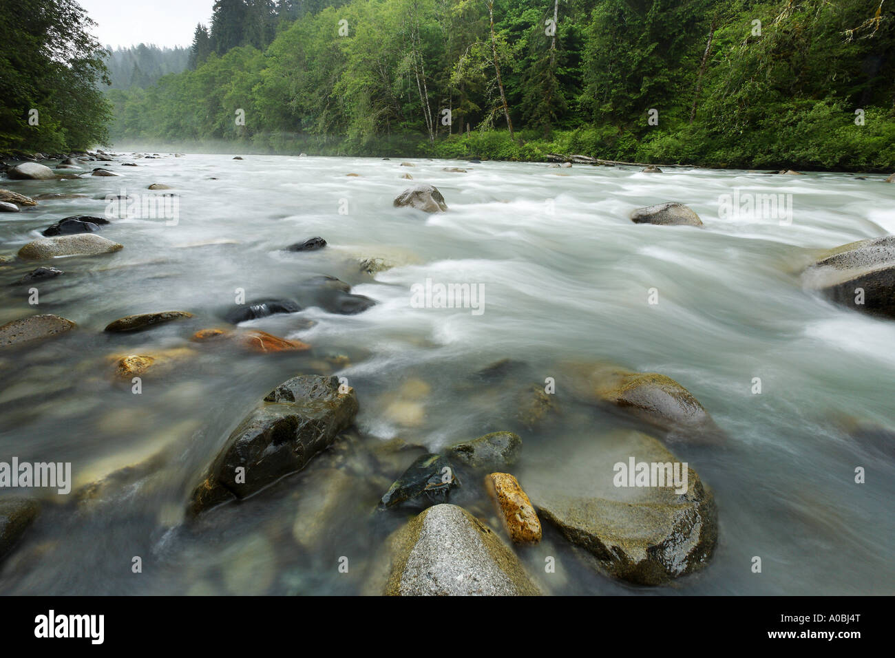 Stillaguamish River near Verlot Campground Mt Baker Snoqualmie National ...