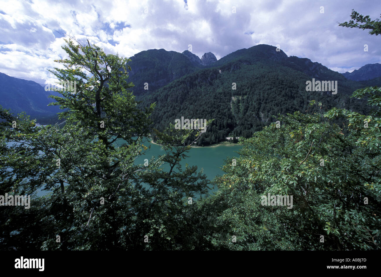 Predil lake Tarvisio Friuli Venezia Giulia Italy Stock Photo - Alamy
