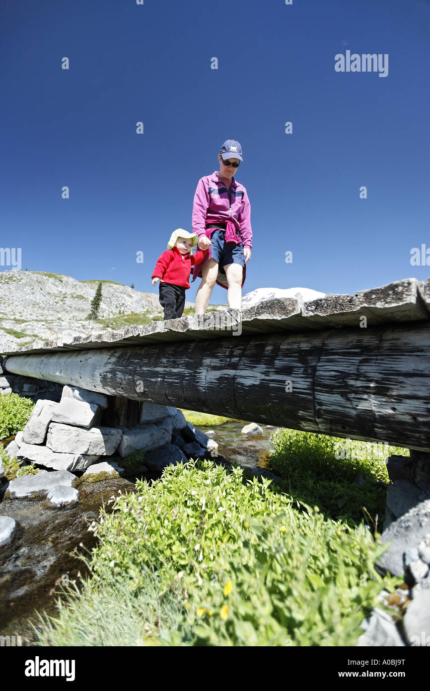 Walking bridge mount rainier hi-res stock photography and images - Alamy