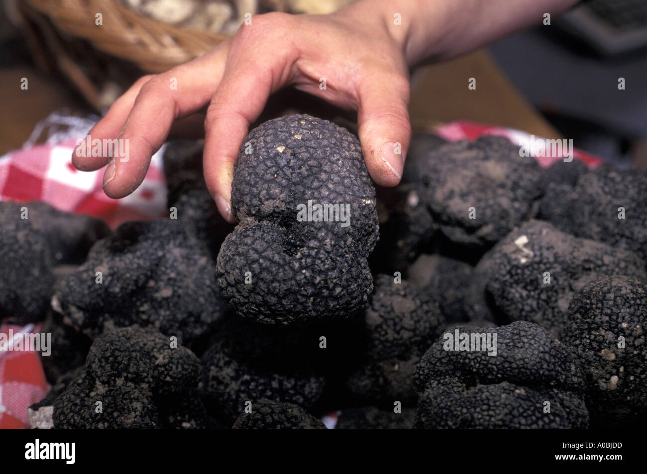 Carovilli hi-res stock photography and images - Alamy