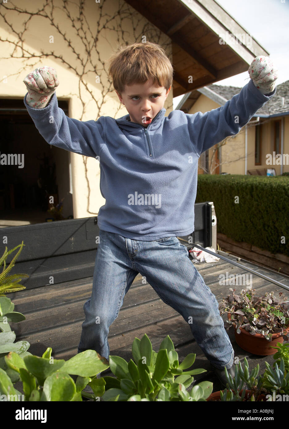 boy gardening with gloves on hiding behind plant Stock Photo - Alamy