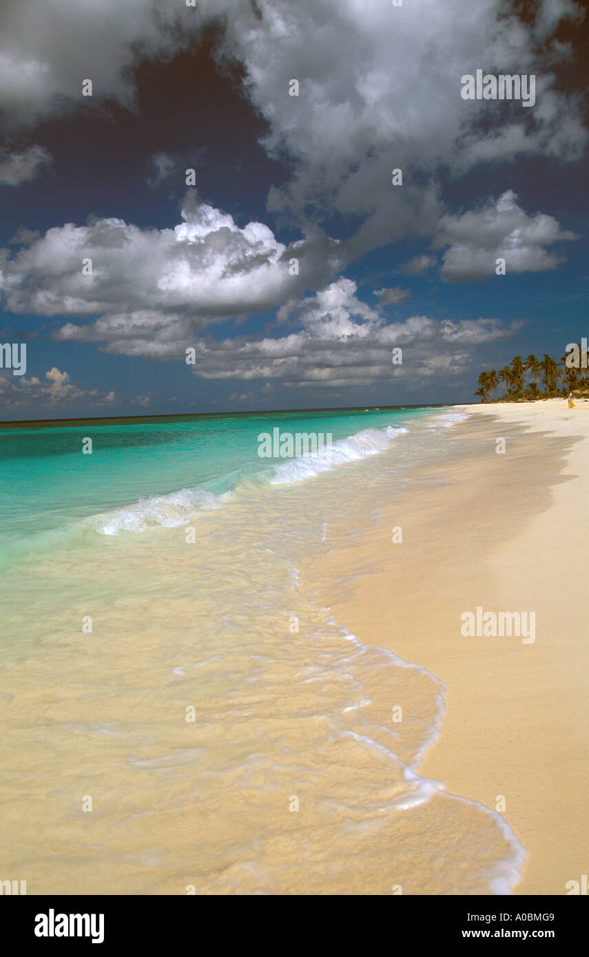 Tropics tropical beach deserted Stock Photo - Alamy