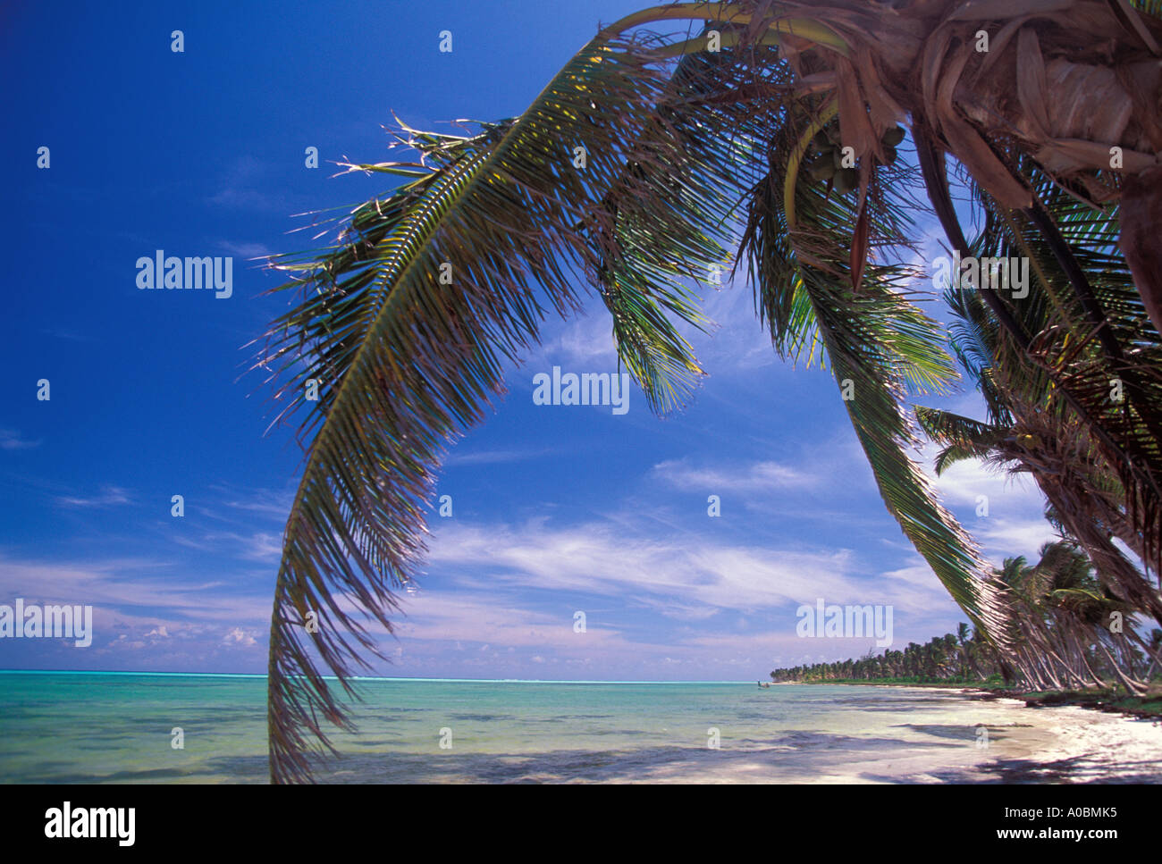 Tropics tropical beach deserted Stock Photo - Alamy