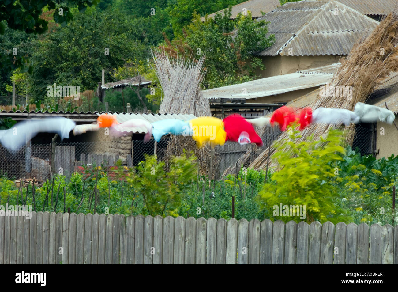 Europe Romania The Danube Delta Bestepe village washing on line in a ...