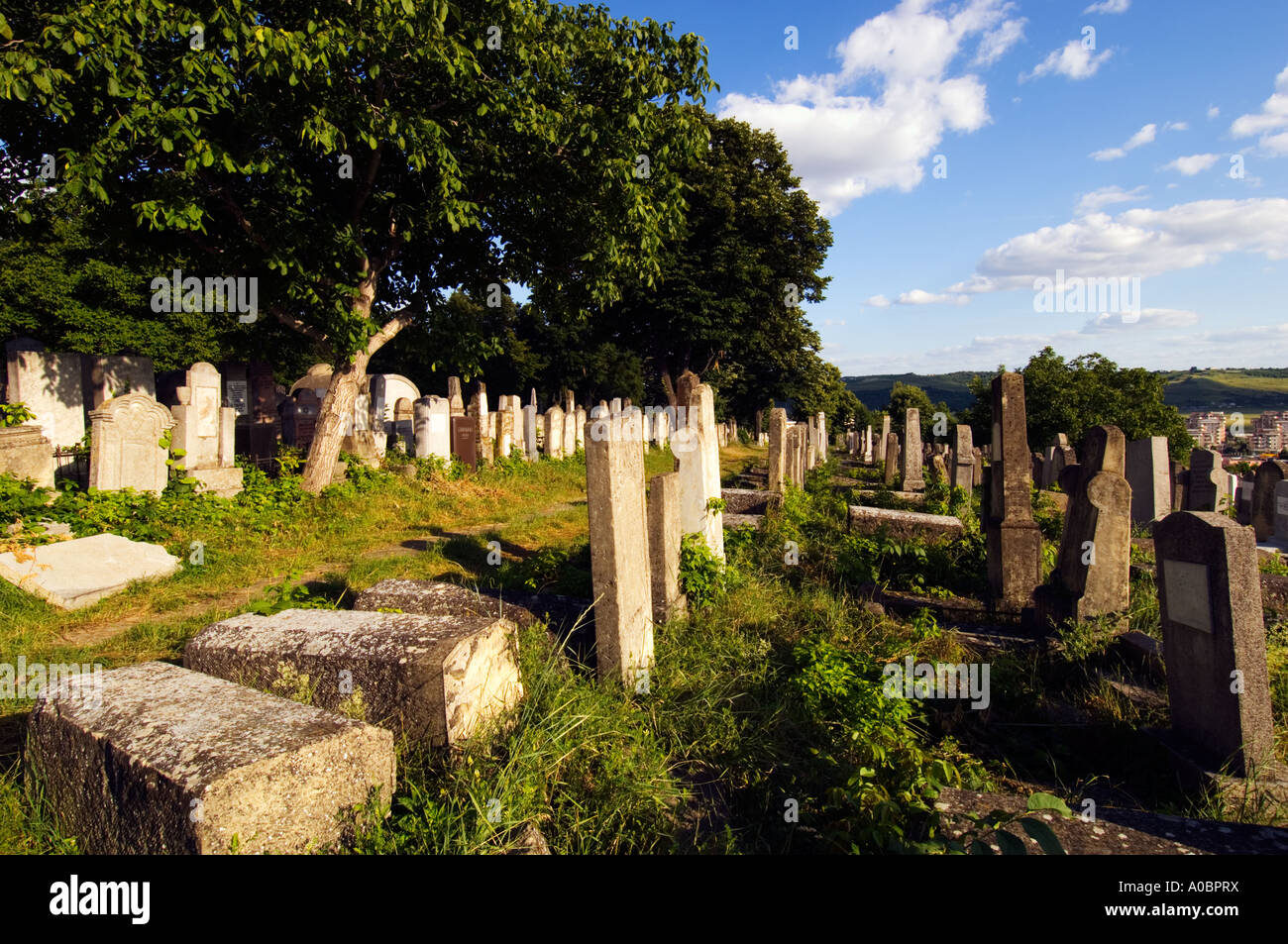 Europe Romania Moldavia Iasi Jewish Cemetery Stock Photo - Alamy