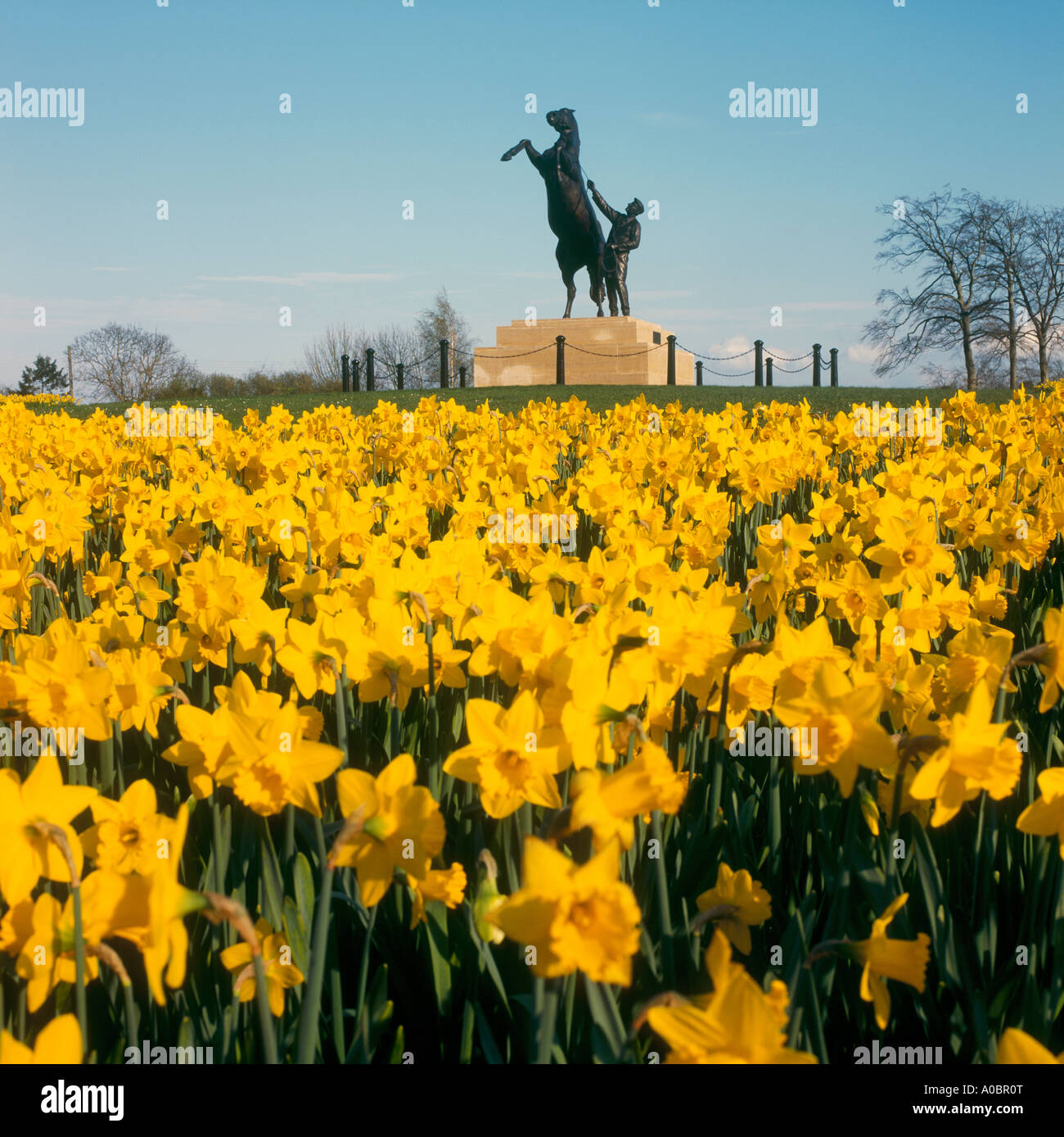Newmarket Horse Racing Stock Photo - Alamy