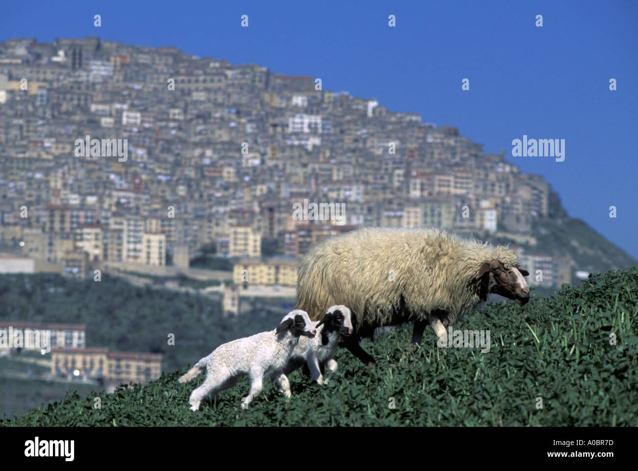 Landscape Gangi Sicily Italy Stock Photo - Alamy