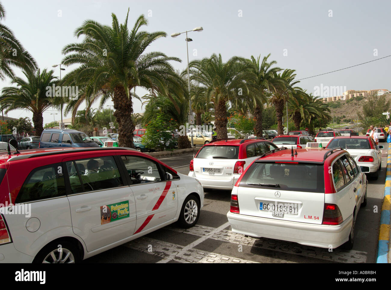 Lots of cabs waiting in line to pick up passengers who were finished at ...