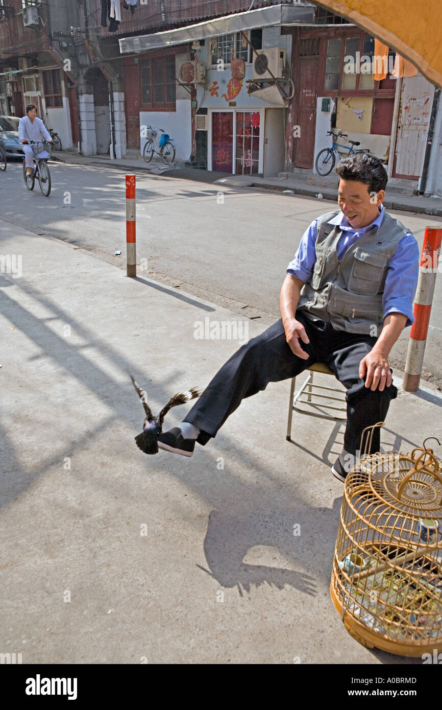 CHINA SHANGHAI Chinese man trains his pet mynah bird on a sidewalk in ...