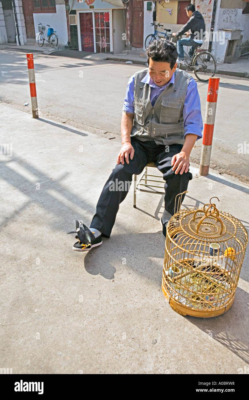 CHINA SHANGHAI Chinese man trains his pet myna bird on a sidewalk in ...
