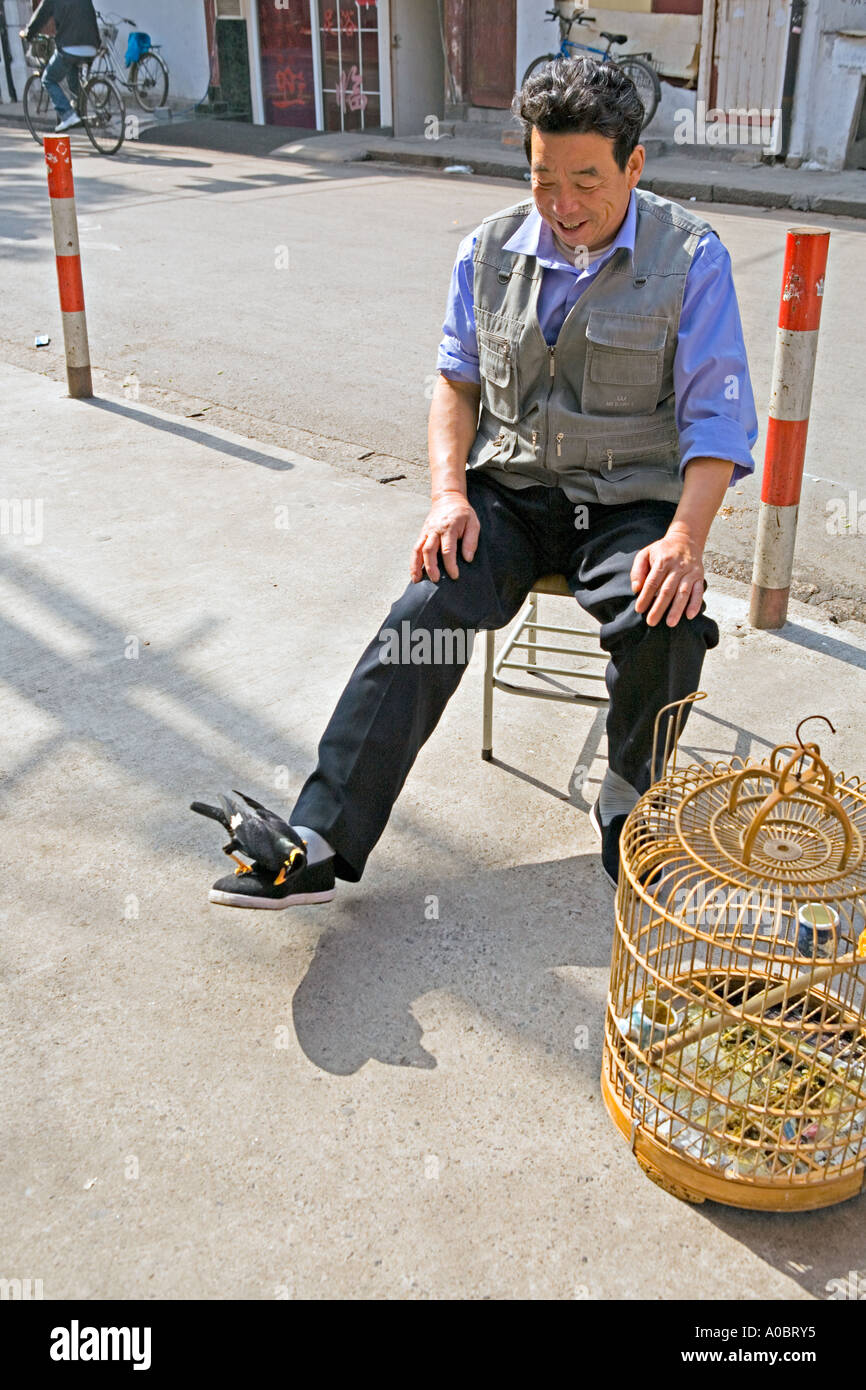 CHINA SHANGHAI Chinese man trains his pet mynah bird on a sidewalk in ...