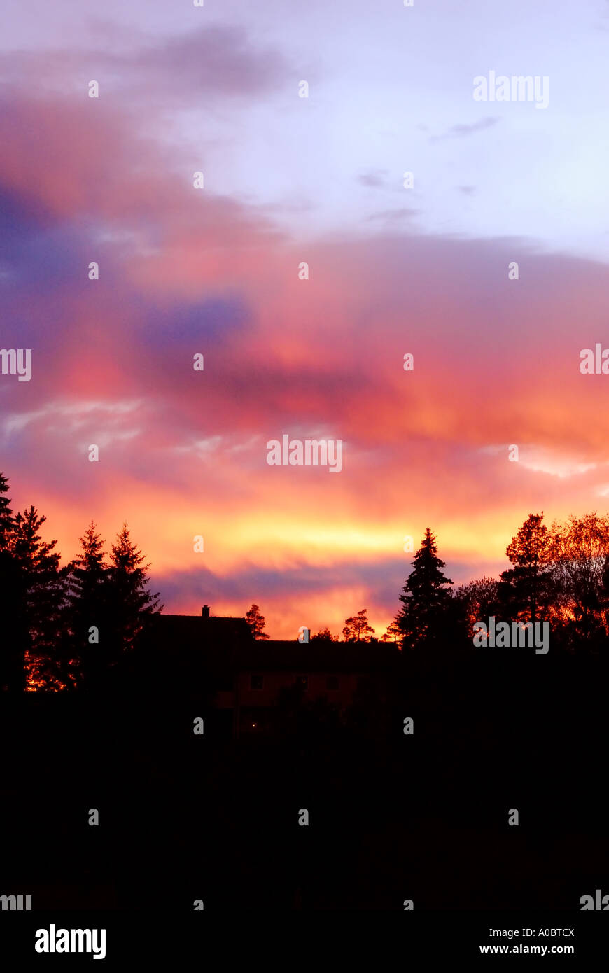 Treeline silhouettes hi-res stock photography and images - Alamy