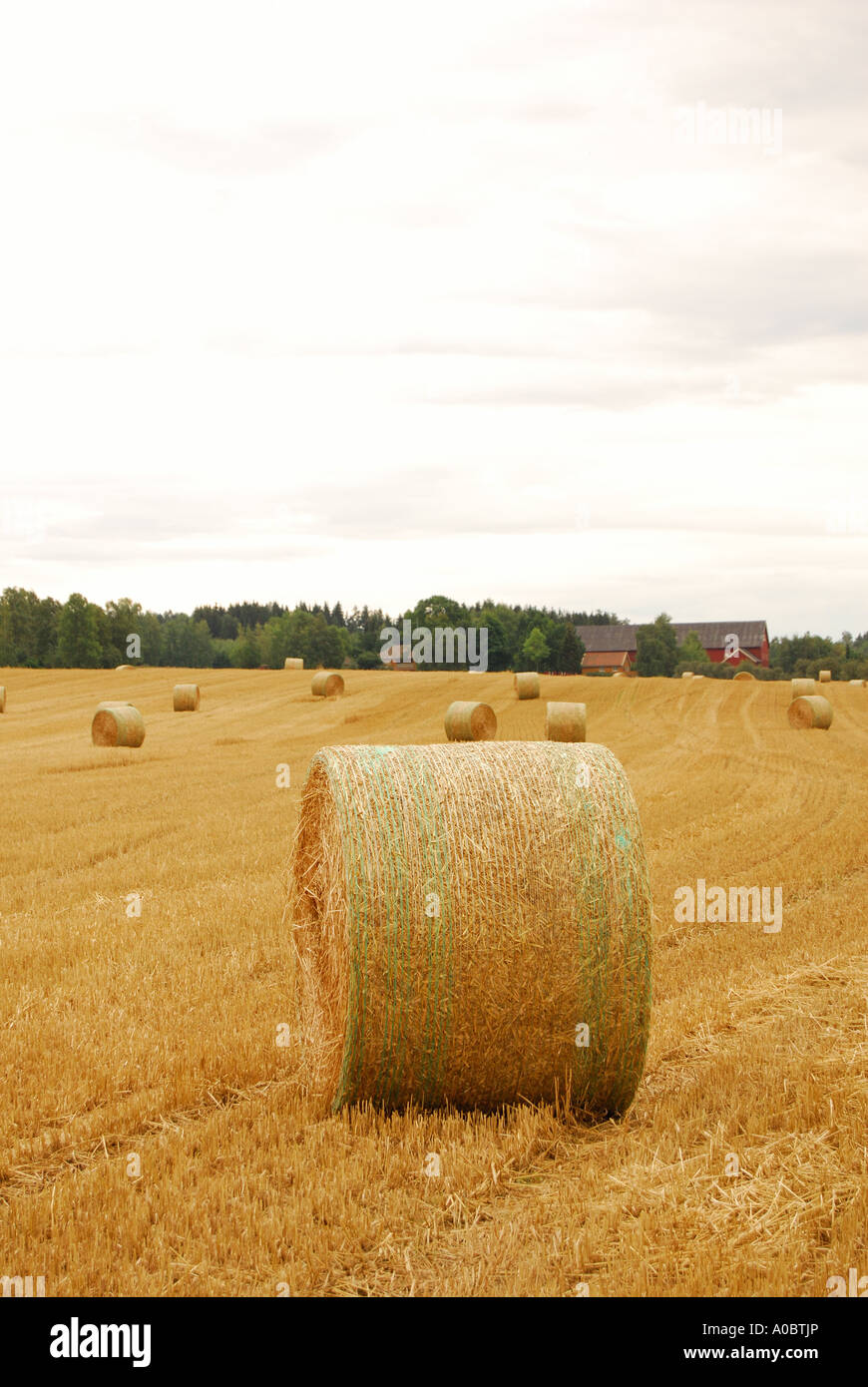 Lots of hay balls hi-res stock photography and images - Alamy