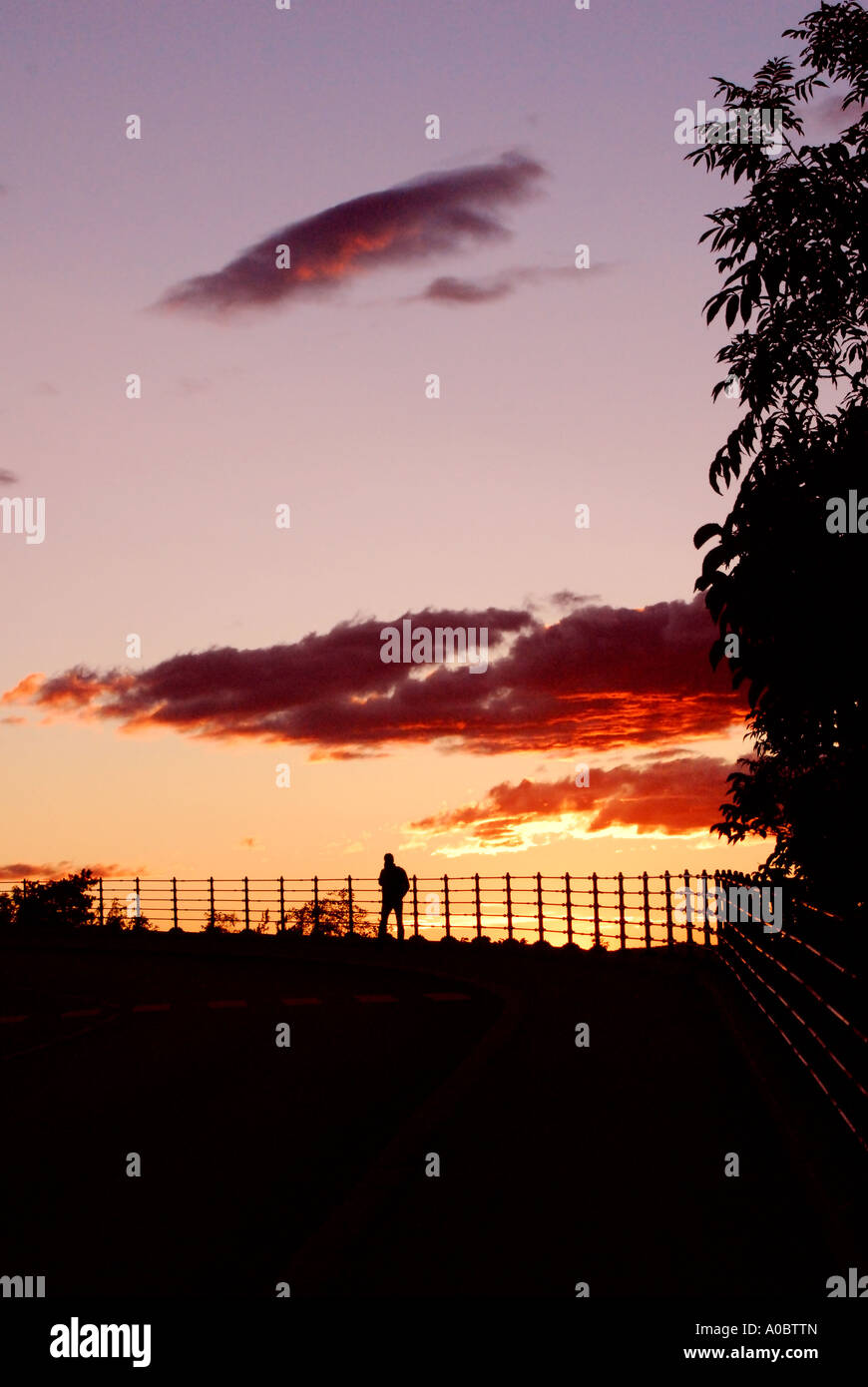 Man watching over fence hi-res stock photography and images - Alamy