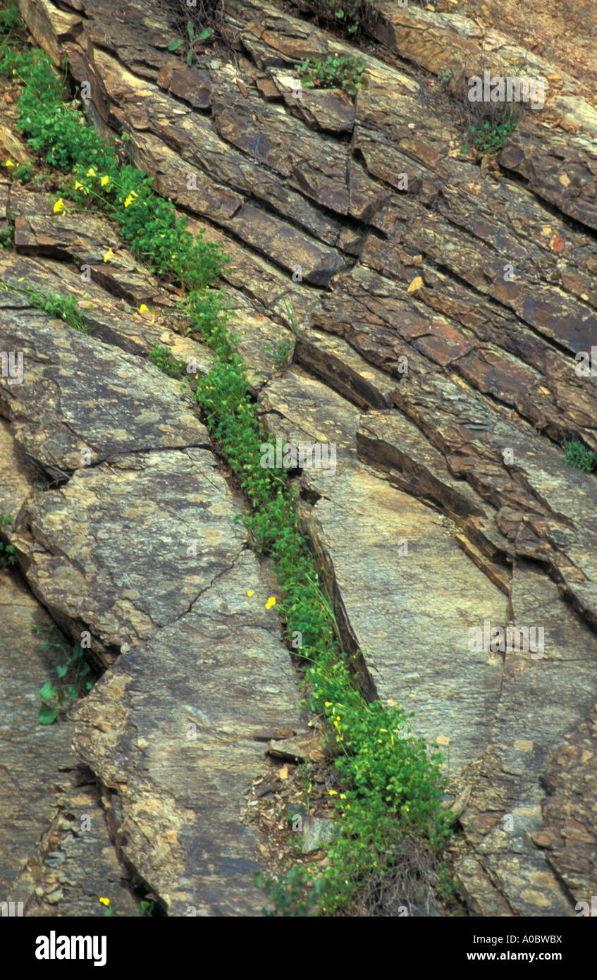 Cornwall - UK Rock strata Stock Photo - Alamy