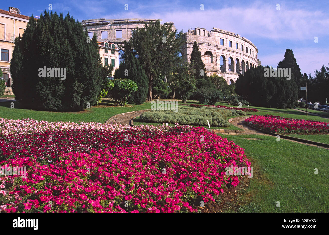 Roman colosseum flowers hi-res stock photography and images - Alamy
