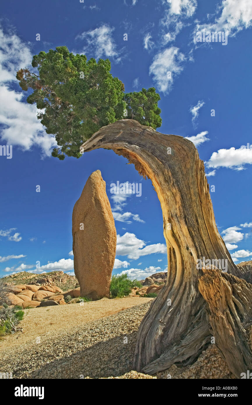 Monolithic pinnacle hi-res stock photography and images - Alamy