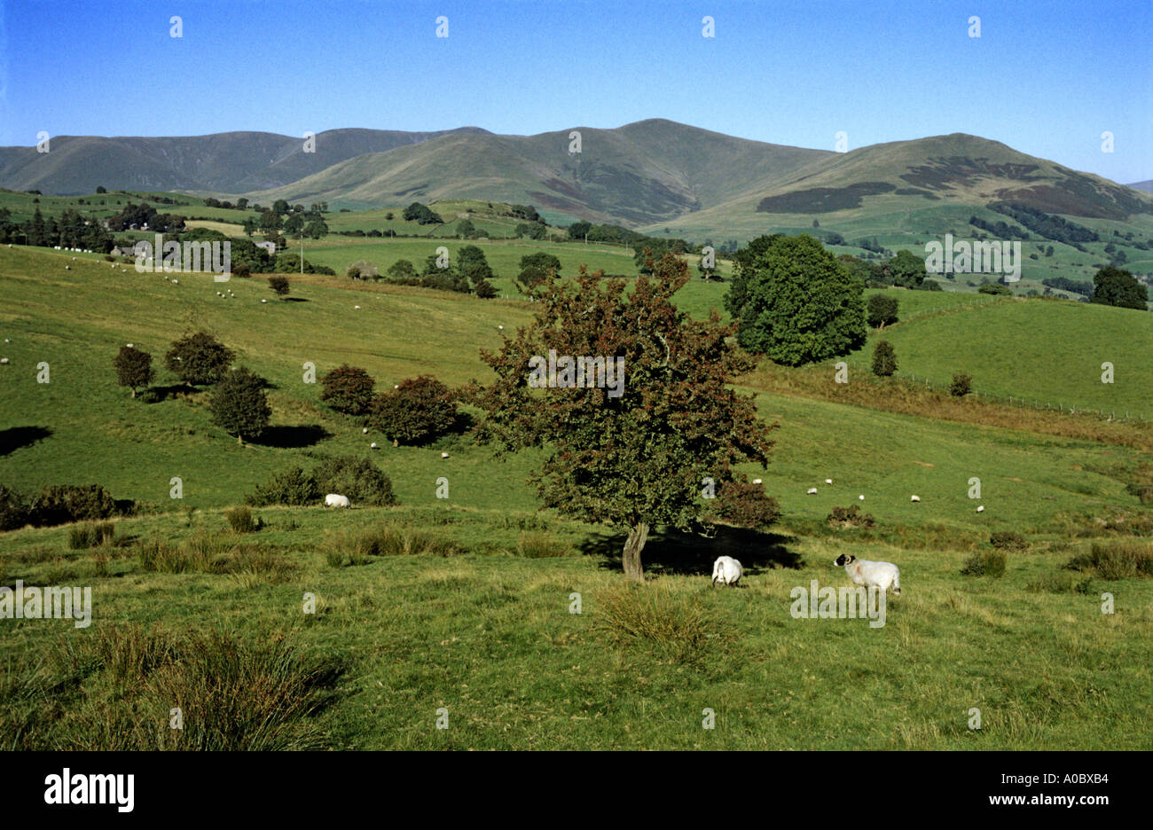 Howgills from Sedbergh Road Stock Photo - Alamy